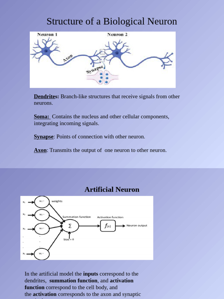 Structure of Biological and Artificial Neurons | PDF | Neuron | Deep ...