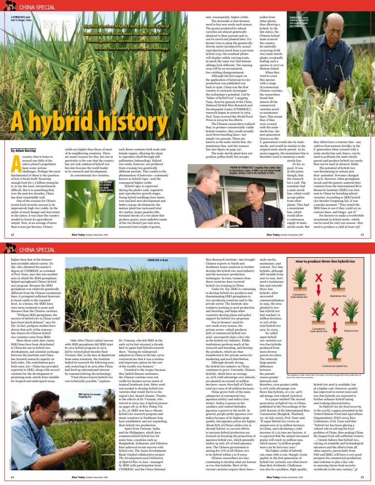 RT Vol. 6, No. 4 A Hybrid History | Download Free PDF | Rice | Plant ...