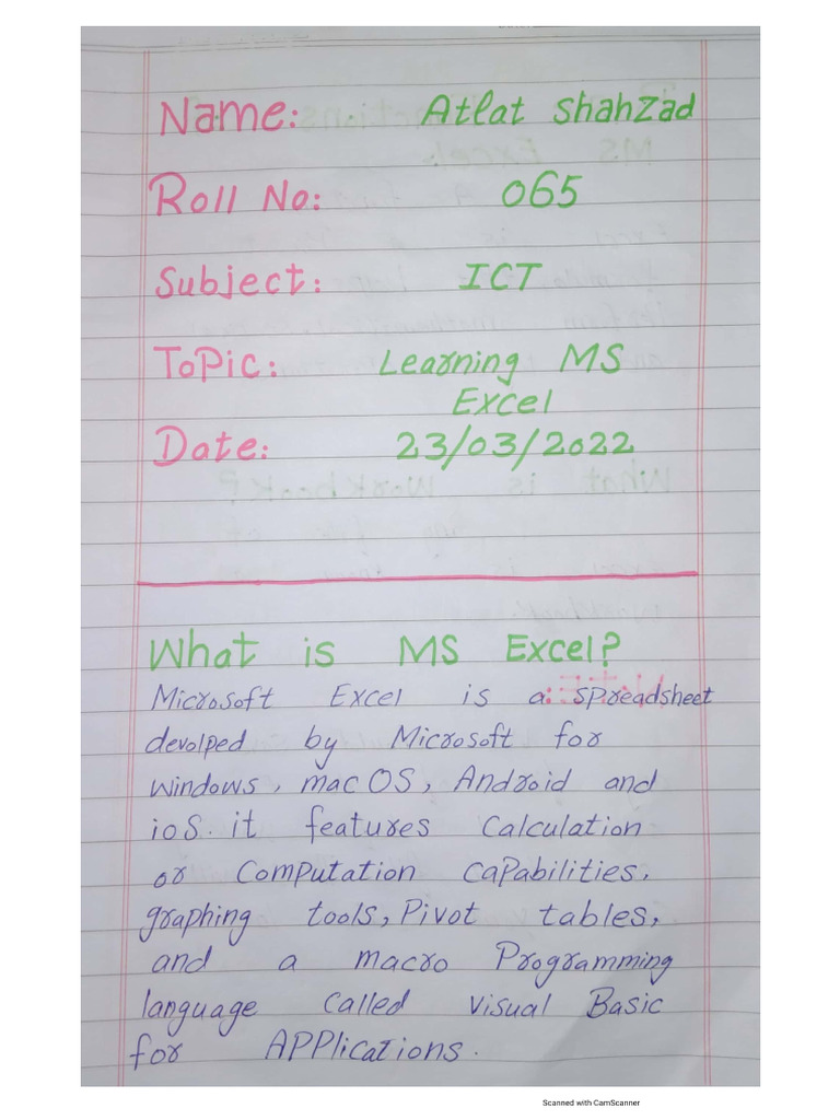 MS Excel Notes | PDF
