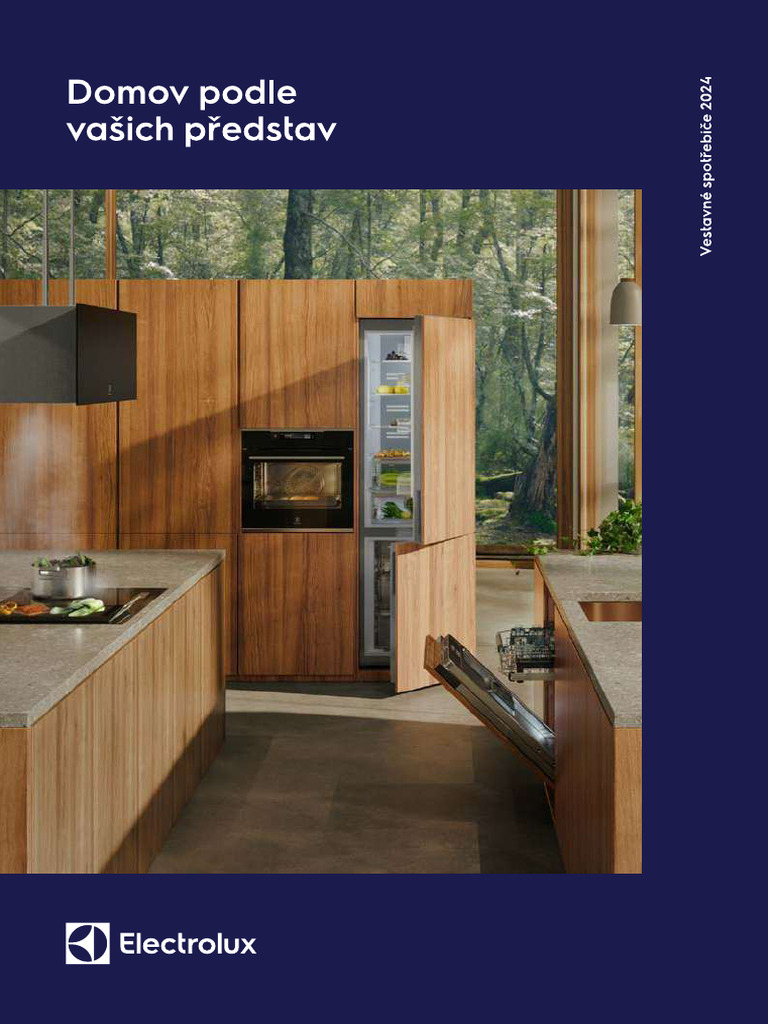 Electrolux 2024 | PDF