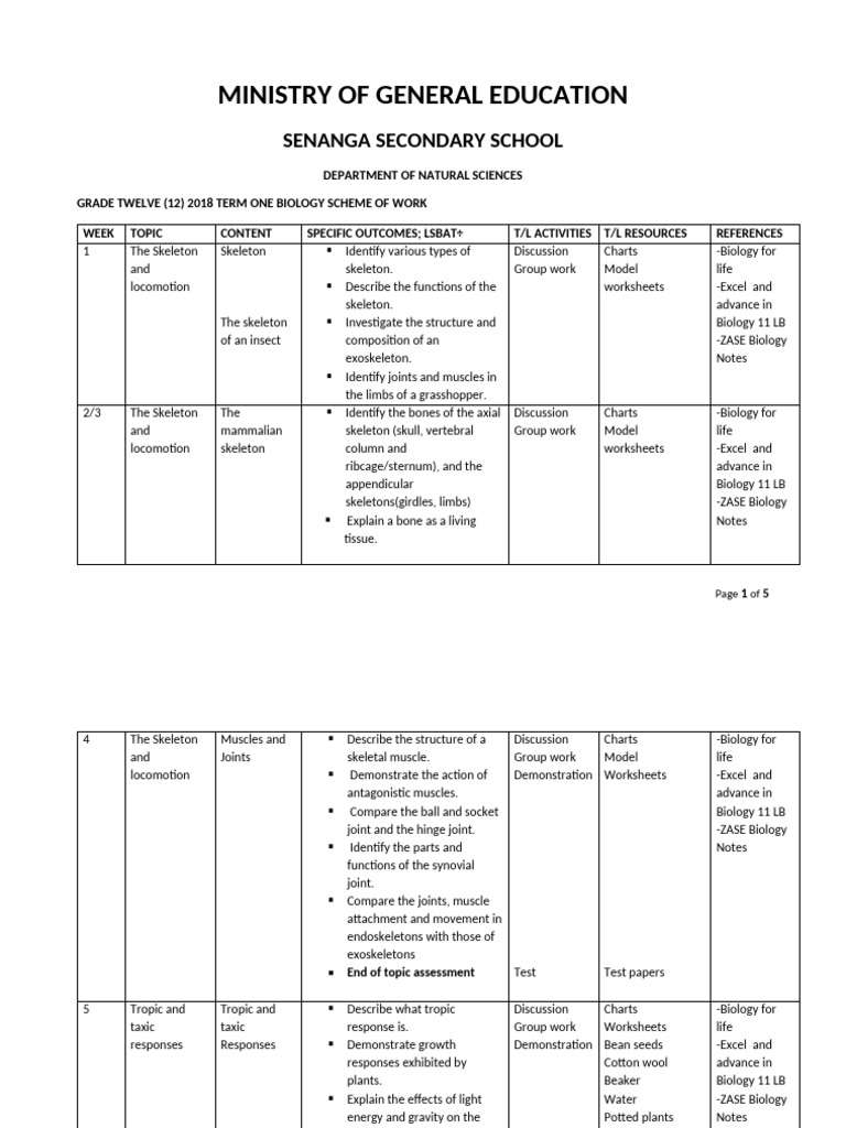 Grade 12 Biology Scheme of Work | PDF
