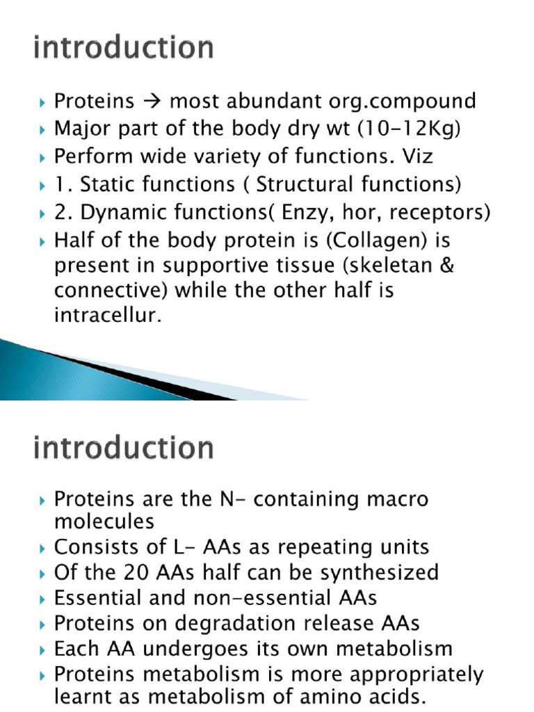 AA Metabol | PDF