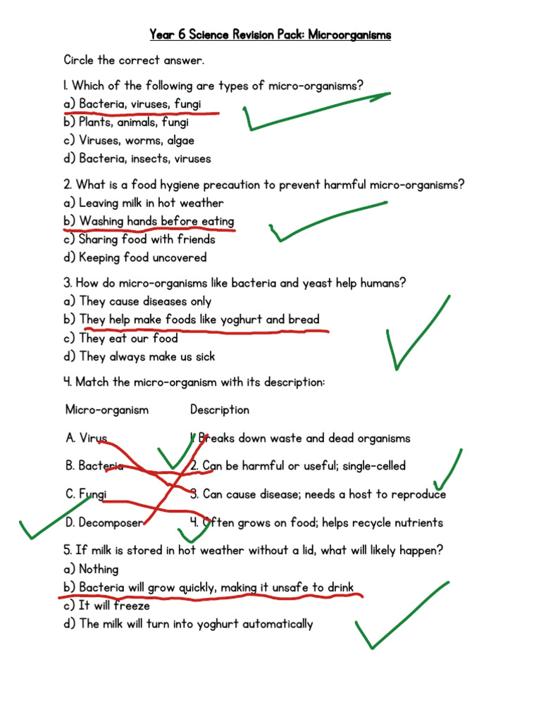 Year 6 Microorganisms Science Quiz | PDF