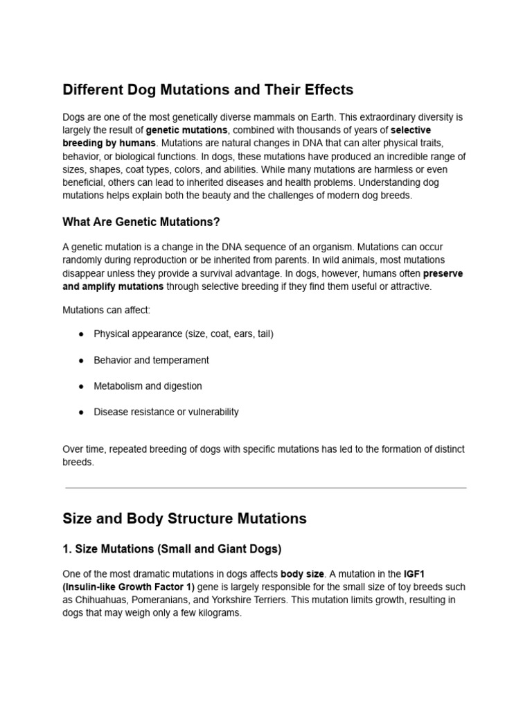 Dog Mutations: Types and Effects | PDF | Dogs | Dog Breeds
