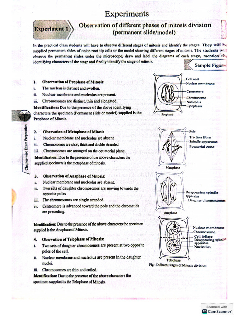 Bio Practical | PDF
