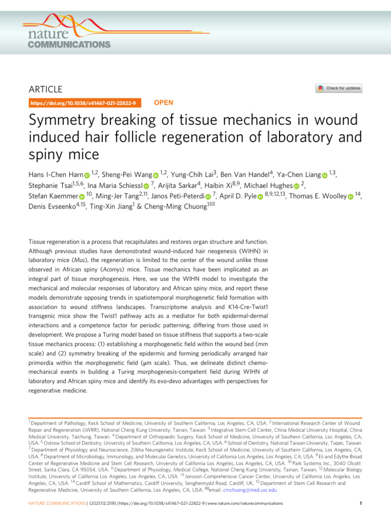 Symmetry Breaking of Tissue Mechanics in Wound Induced Hair Follicle ...