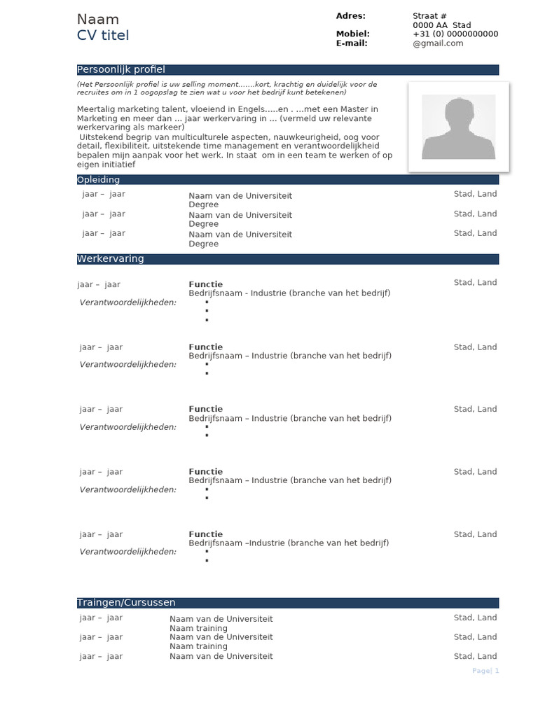 CV Template in Dutch | PDF