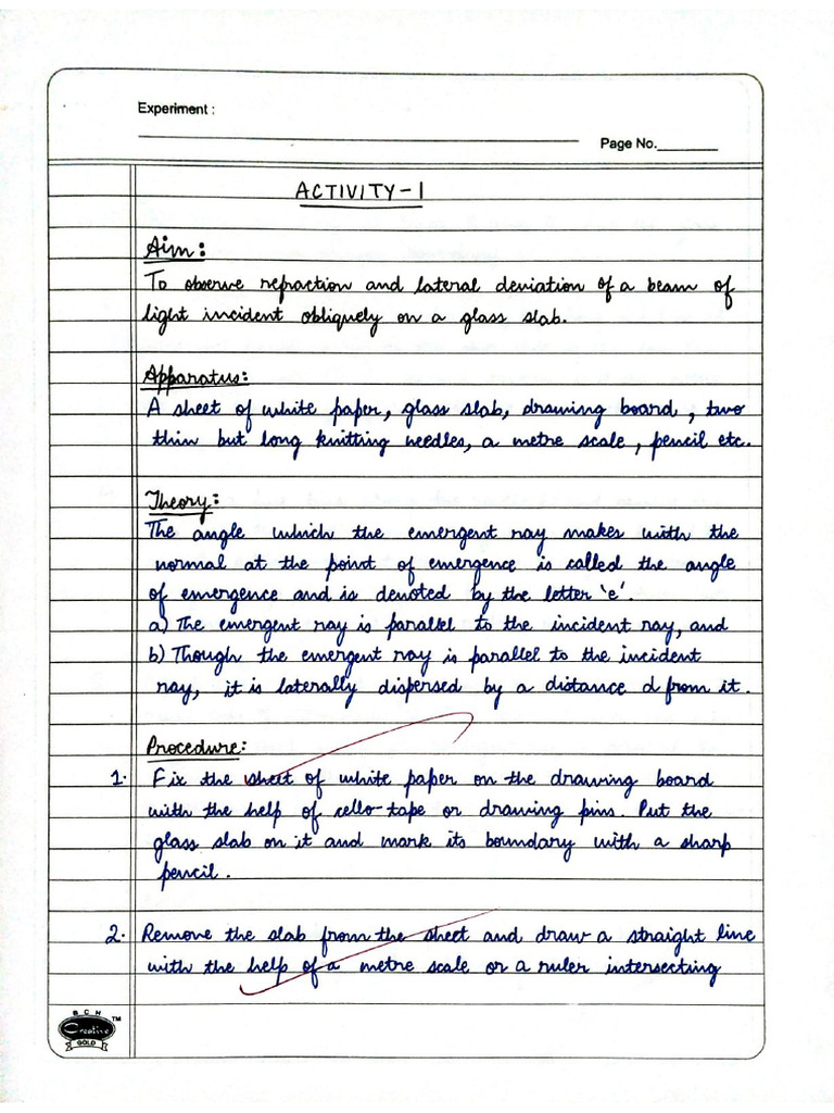 Phy Activity File | PDF