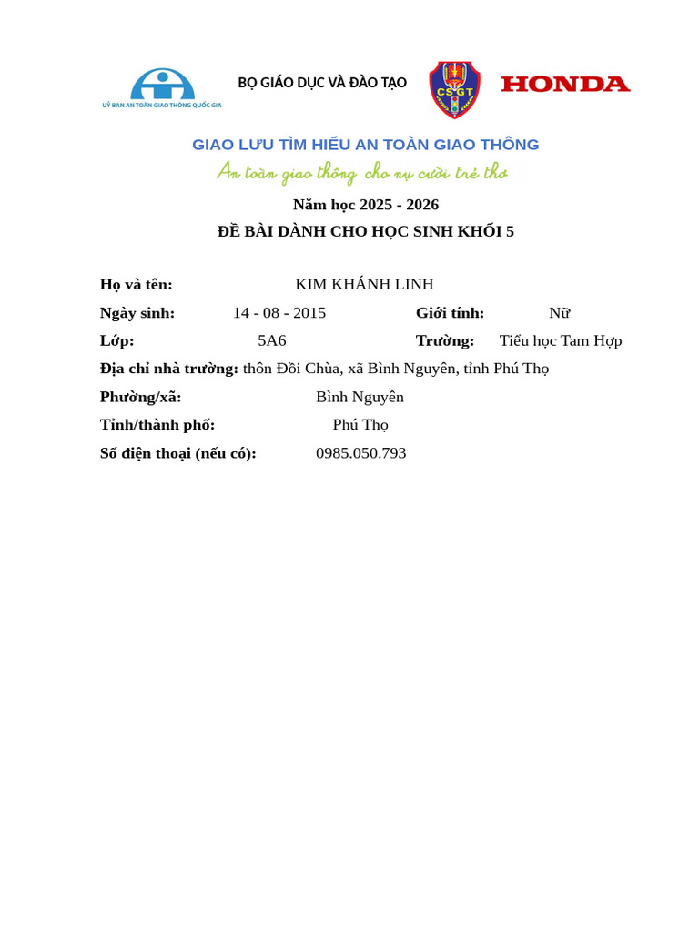 Nhím - Giao Lưu Tìm Hiểu an Toàn Giao Thông | PDF
