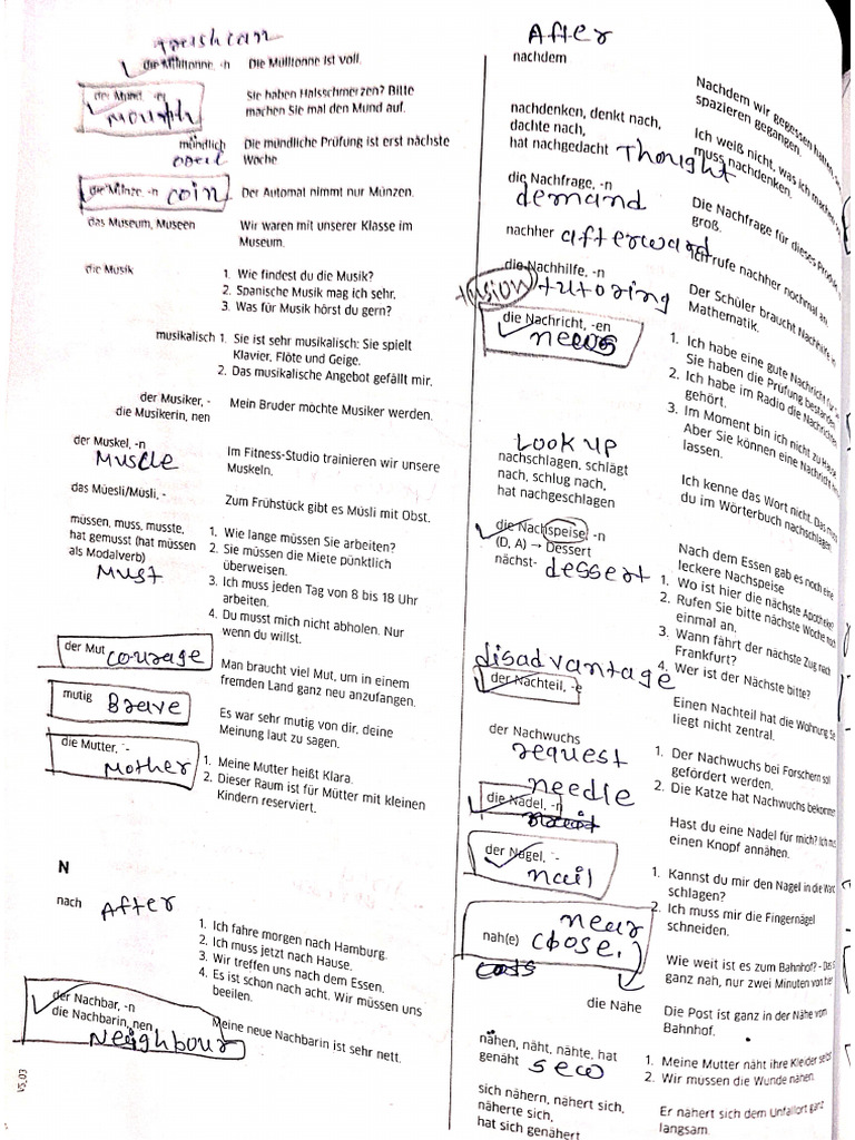 b1 Words With Eng | PDF