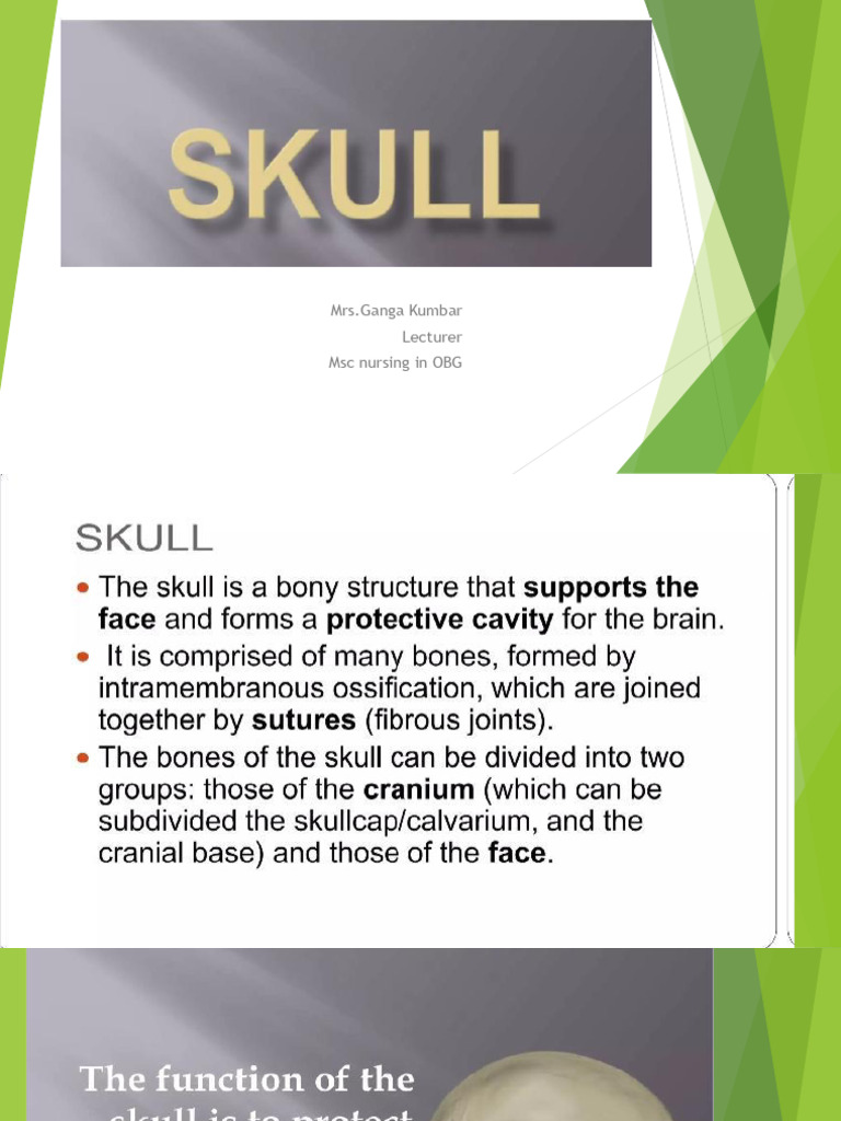 Skull Bone | PDF
