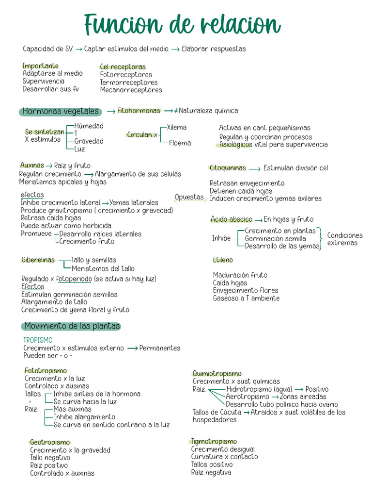 Bloc de notas sin título | PDF | Hormona Vegetal | Raíz