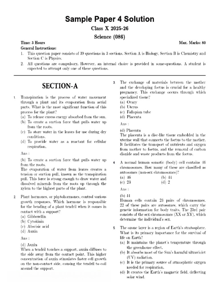 Sample Paper 4 | PDF | Rust | Corrosion