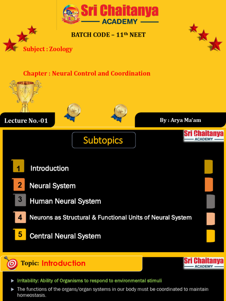 Lec1 Intro&NS | PDF | Axon | Myelin