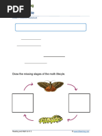 ARU London VLE Access Guide | PDF