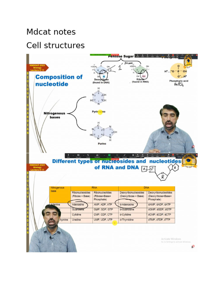Mdcat Notes | PDF