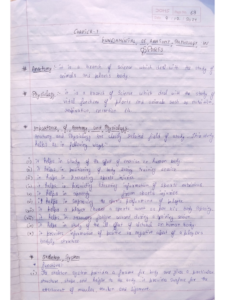 Phe Chapter 7 Fundamental of Anatomy and Physiology in Sports | PDF