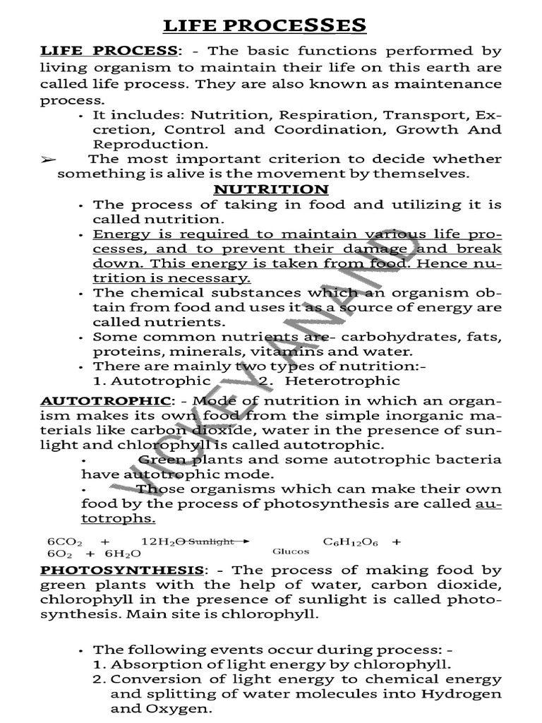 Life Processes Nutrition | PDF