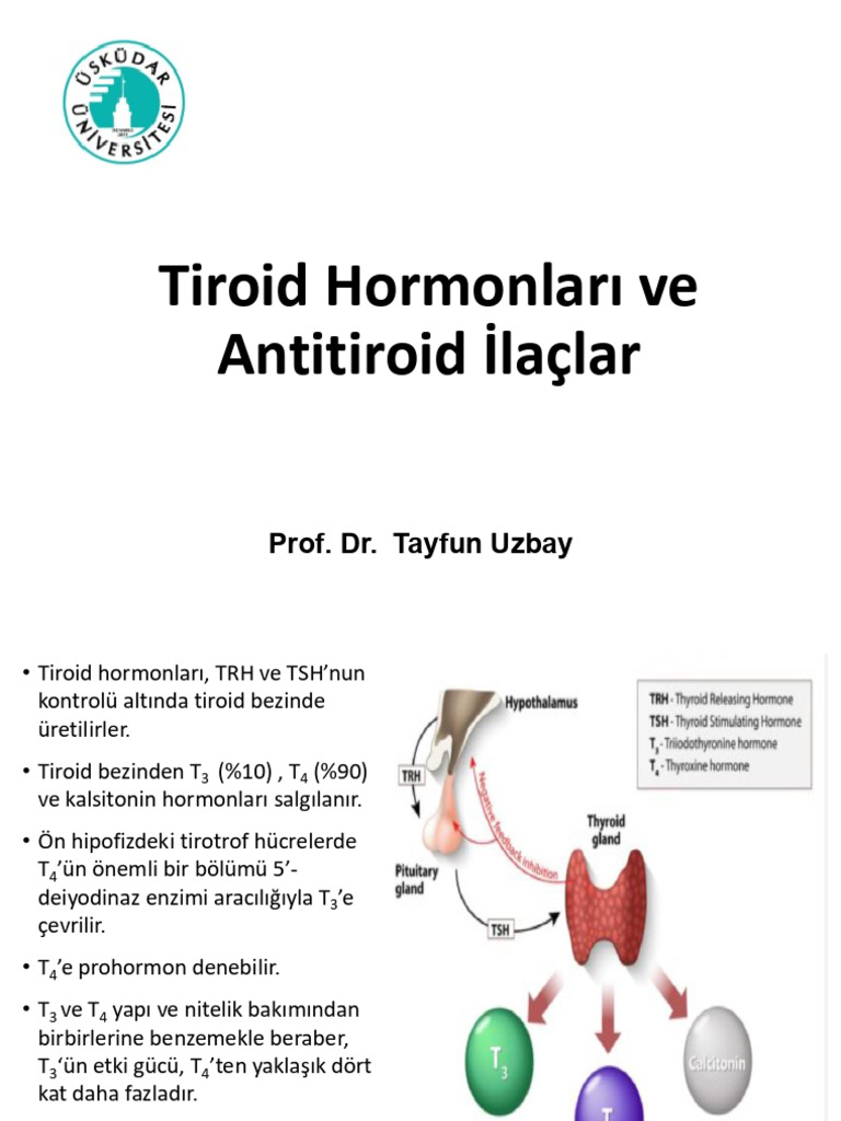 Tiroid HormonlarÄ Ve Antitiroid Ä°laÃ Lar | PDF