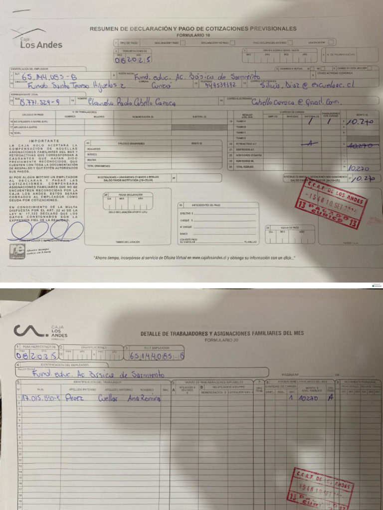 Caja Los Andes Basica | PDF