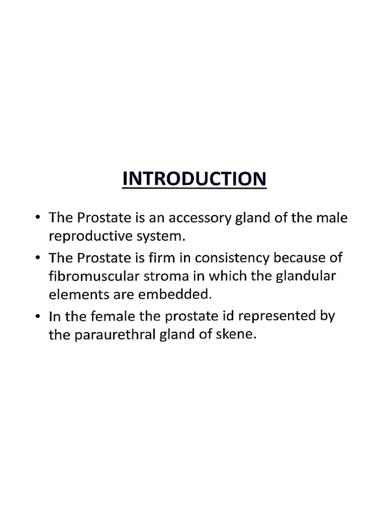 Prostate Gland Anatomy | PDF