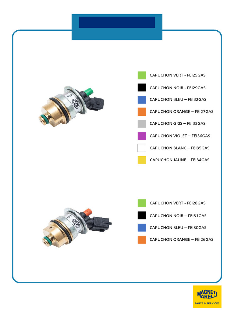 Parts LPG Injectors Data Sheet FR | PDF