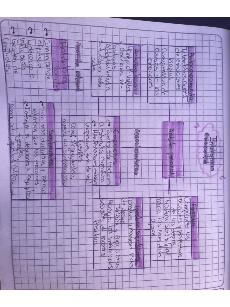 Mapa Conceptual Inteligencia Emocional | PDF