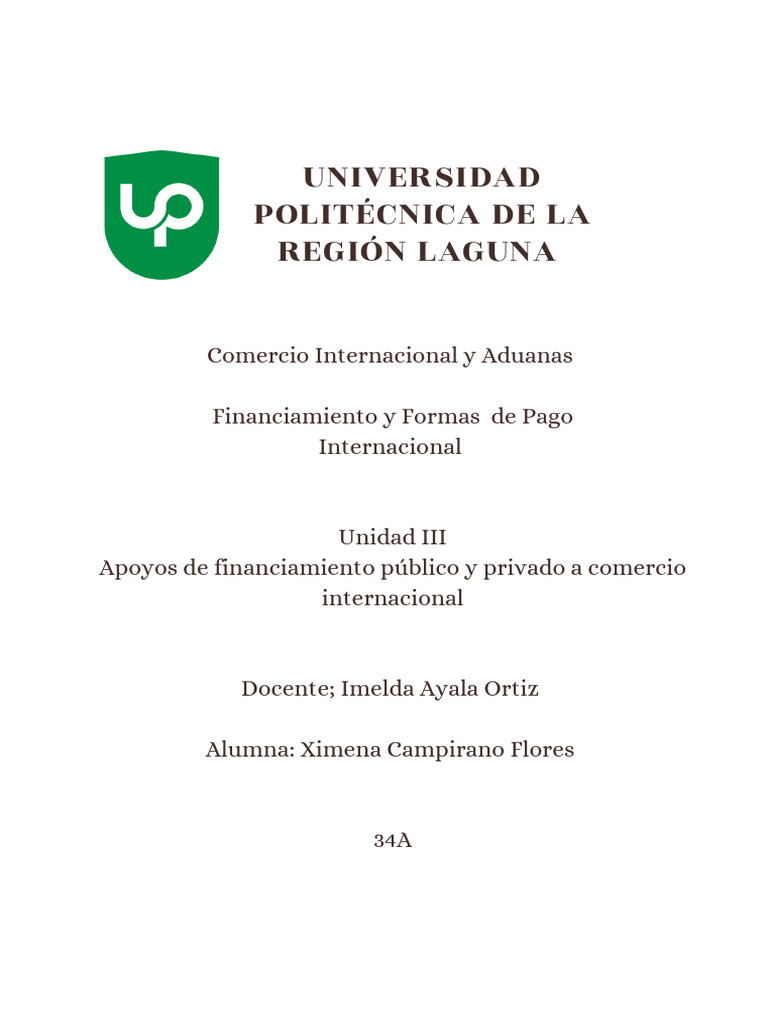 Documento A4 Portada Proyecto Sencillo Simple Marrón y Blanco ...