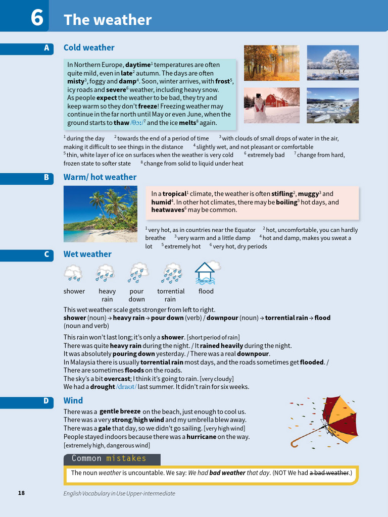 Weather Patterns and Descriptions | PDF | Rain | Weather