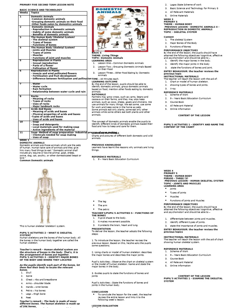 BST 2nd term PRY 5 | PDF | Flowers | Pollination