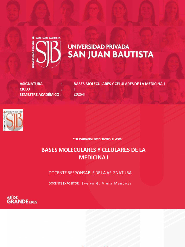 T13_ADN(1) (1) | PDF | Replicación De Adn | Adn