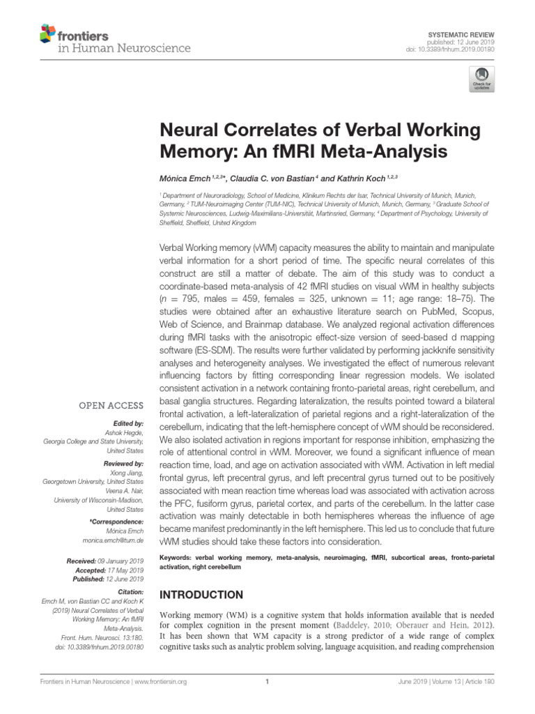 Neural Correlates of Verbal Working Memory an FMRI | PDF | Working ...