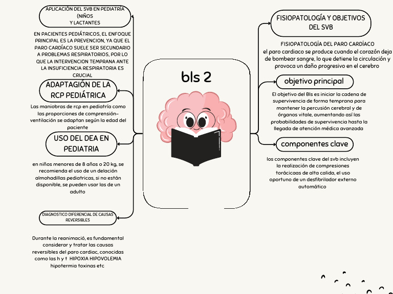 Bls 2 | PDF
