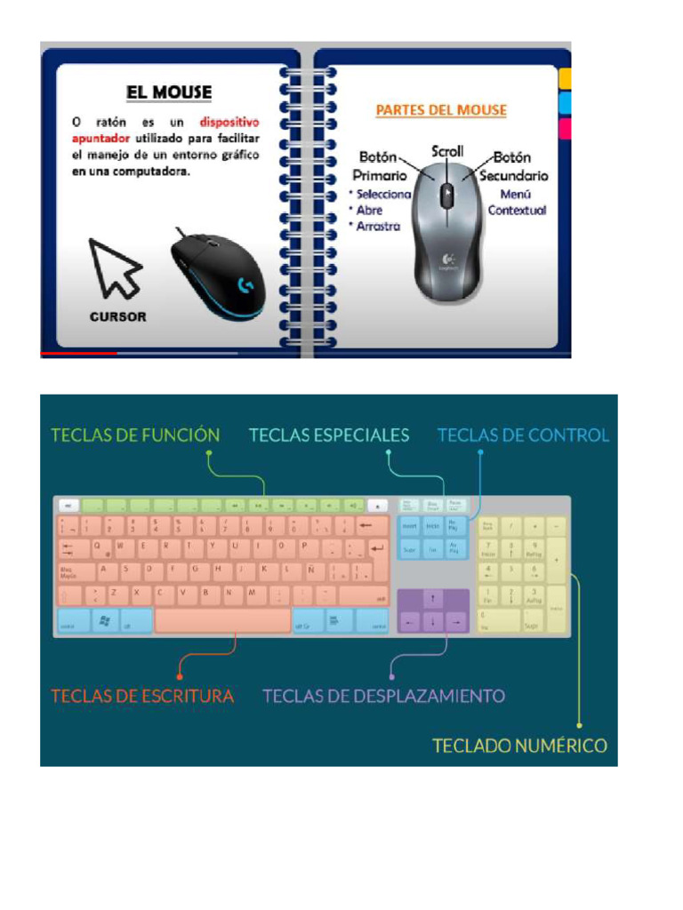 Mouse y Teclado | PDF