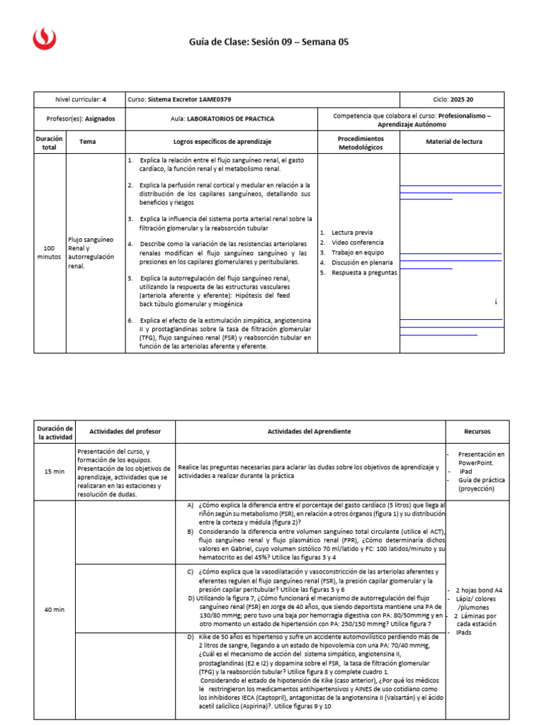2025 20 Sesión 09 Guía de Clase | PDF