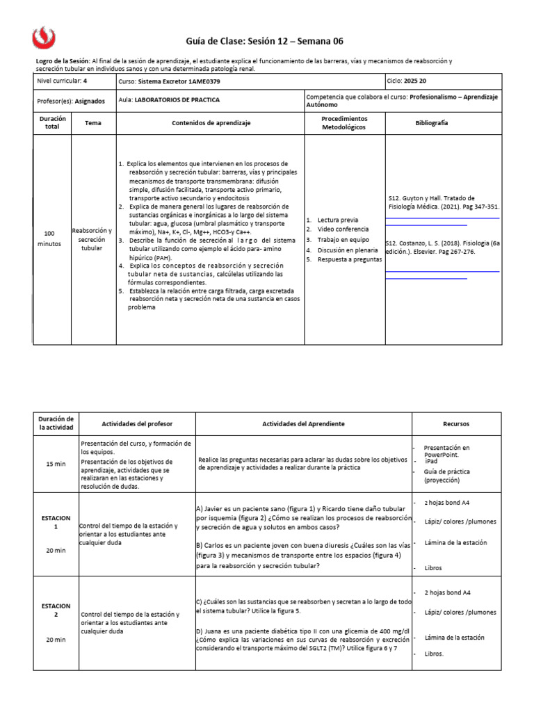 2025 20 Sesión 12 Guía de Clase | PDF