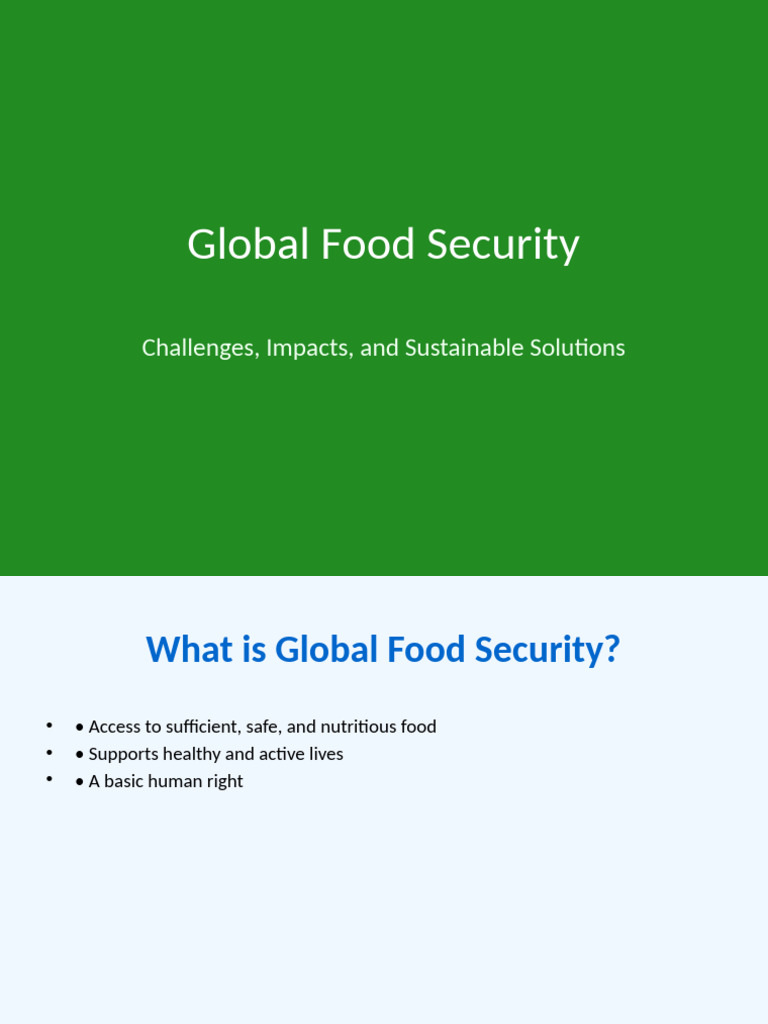 Global Food Security | PDF