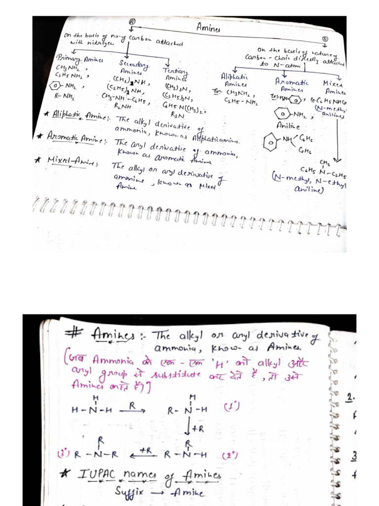 Unit 13 (Amines) | PDF