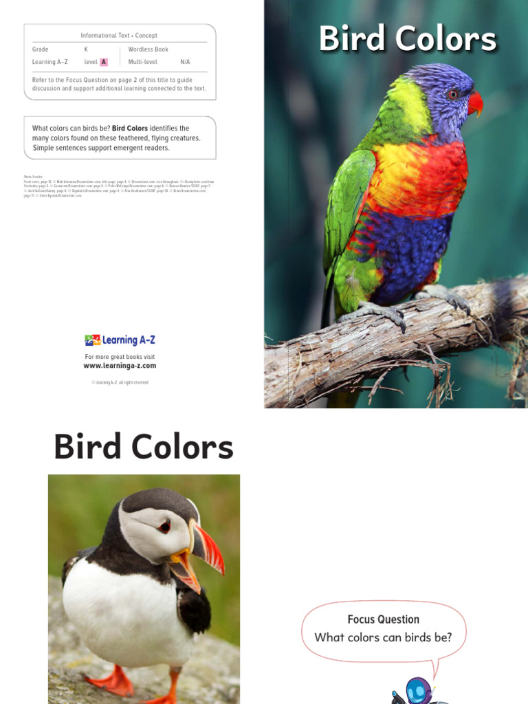 WB Bird Colors | PDF