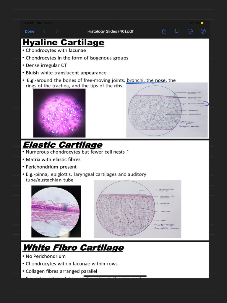 General Histology | PDF