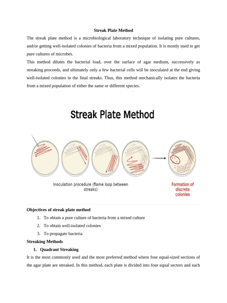 Streak Plate Method | PDF | Laboratories | Microscopy