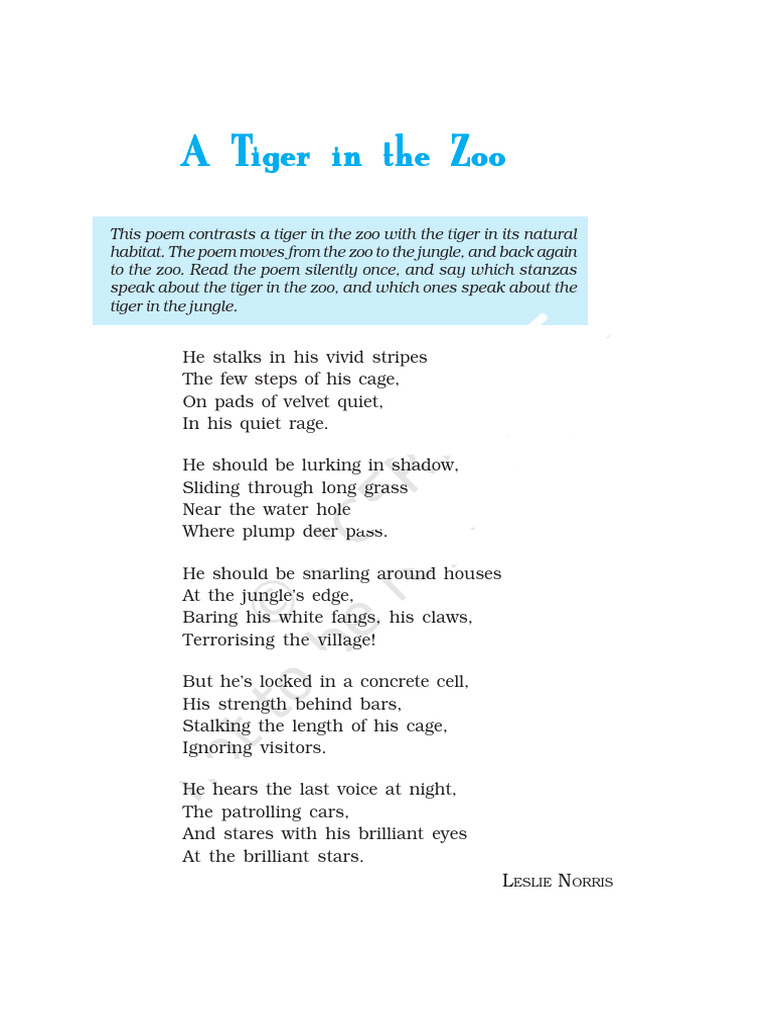 Poem 3. A Tiger in The Zoo | PDF | Tiger