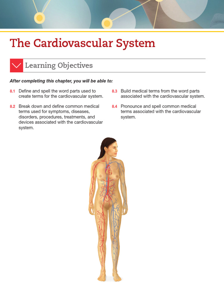 Cardiovascular System Medical Terms Guide | PDF | Atherosclerosis ...