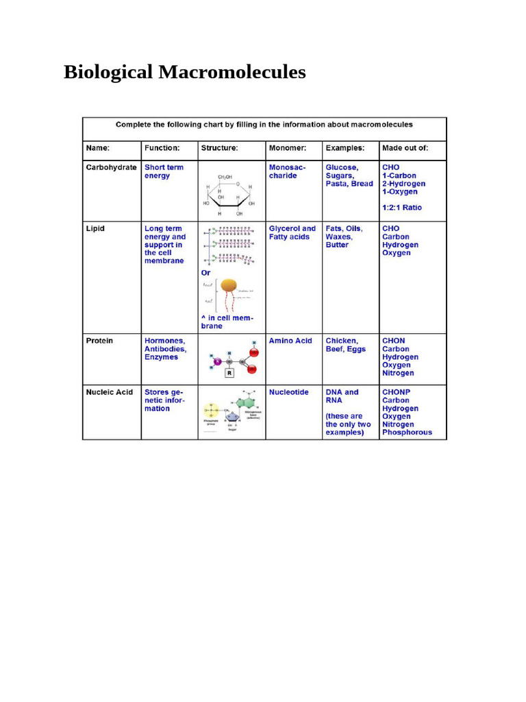 Overview of Biological Macromolecules | PDF | Macromolecules ...