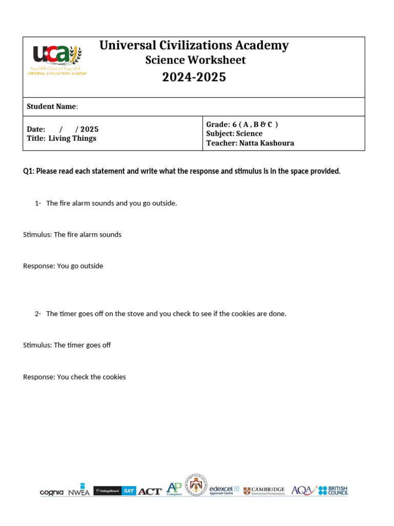 Grade 6 Worksheet Answer Key | PDF | Cell (Biology) | Organisms