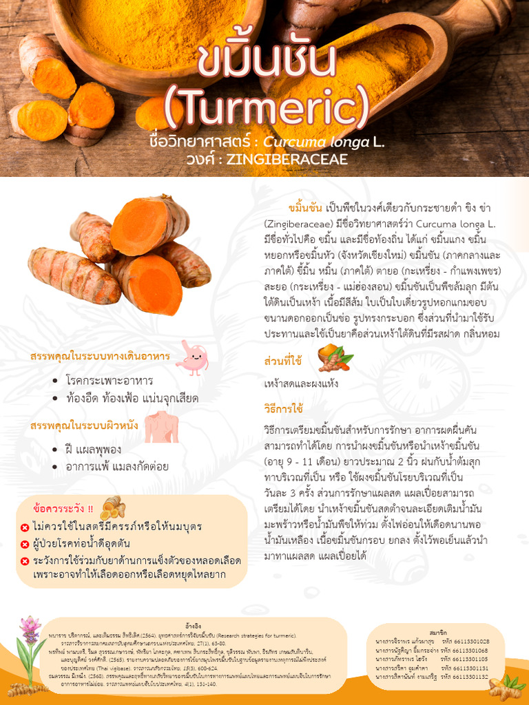 White Green and Brown Modern Alternative Medicine Services Flyer.pdf | PDF