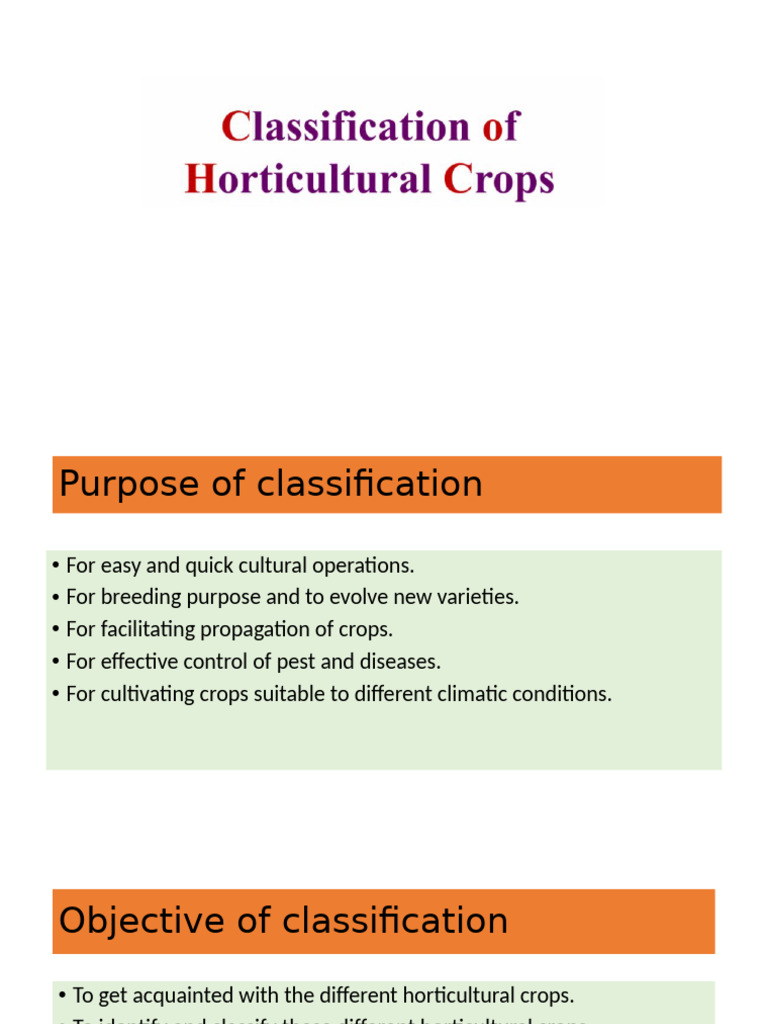 Classification of Horticultural Crops | PDF | Vegetables | Fruit
