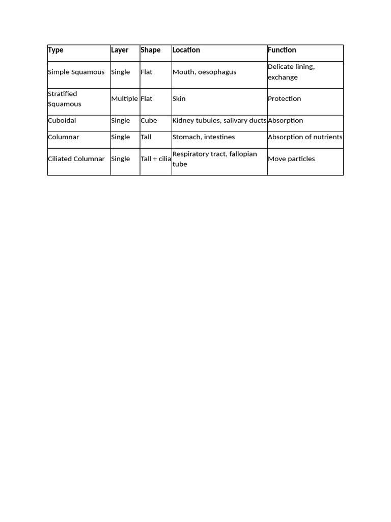 Animal Cell Type | PDF