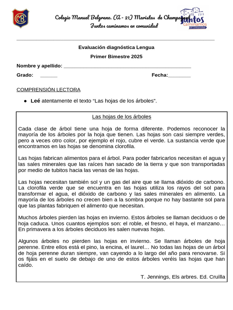 Evaluación Diagnóstica - Lengua 2025 | PDF | Hoja | Arboles