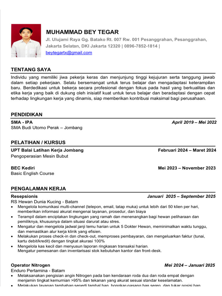 CV - Muhammad Bey Tegar PDF | PDF